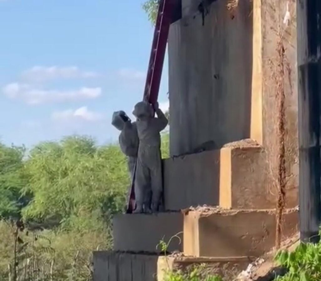 Segunda Etapa Da Retirada De Abelhas Em Ponte De Afogados Concluída Com ...