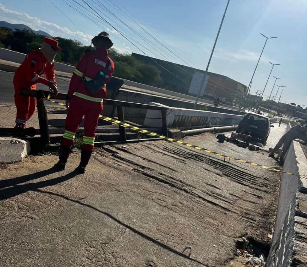 Segunda Etapa Da Retirada De Abelhas Em Ponte De Afogados Concluída Com ...